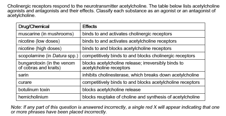Solved Cholinergic receptors respond to the neurotransmitter | Chegg.com