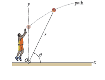 Projectile Motion Basketball