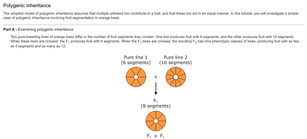 Solved Polygenic Inheritance The simplest model of polygenic | Chegg.com