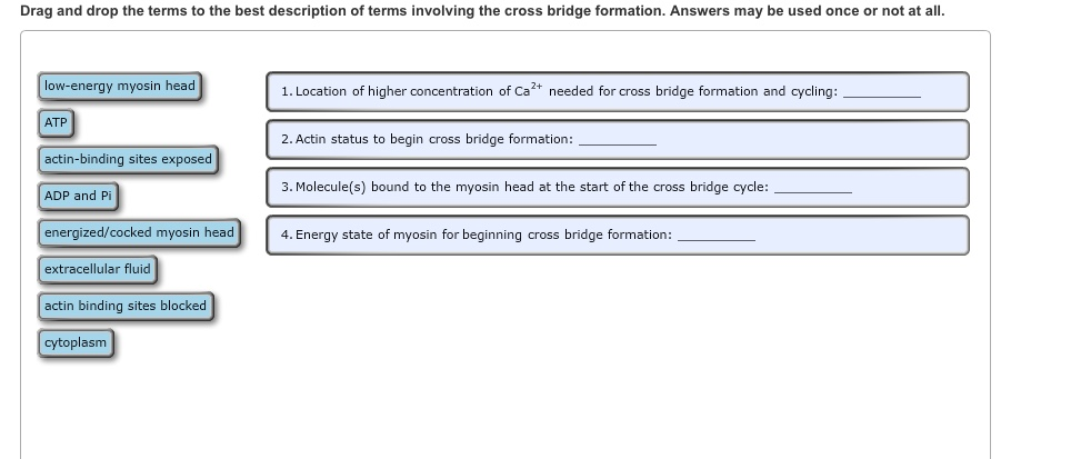 Solved Drag and drop the terms to the best description of | Chegg.com