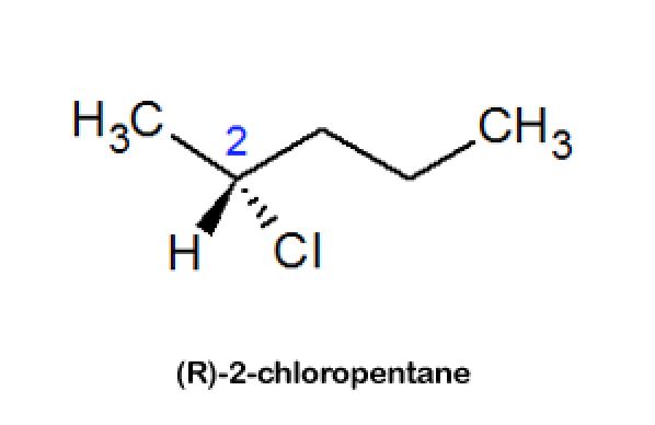 Solved How many different hydrogens are present in | Chegg.com