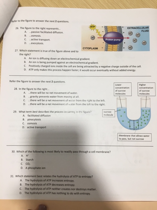 Solved Refer To The Figures To Answer The Following 2