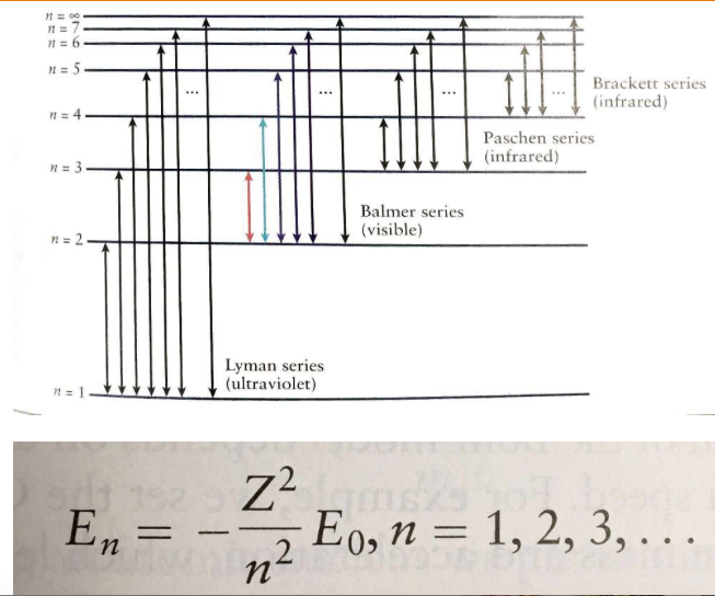 Energy Level Diagram For Hydrogen Bohr Model Bohr Hydrogen A