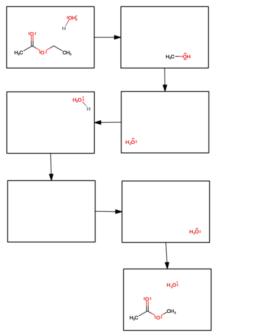 Solved Write the mechanism for the acid-catalyzed | Chegg.com