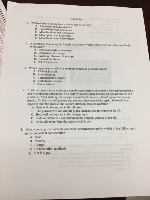 Solved Please answer all questions. And please circle | Chegg.com