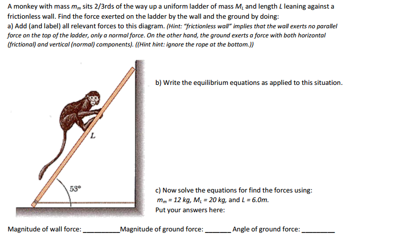 A monkey with mass mm sits 2/3rds of the way up a | Chegg.com