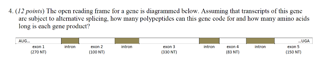 Solved 4. (12 points) The open reading frame for a gene is | Chegg.com