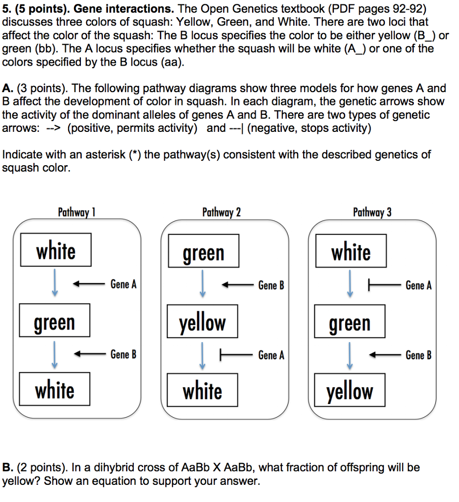 Les Gènes, les allèles