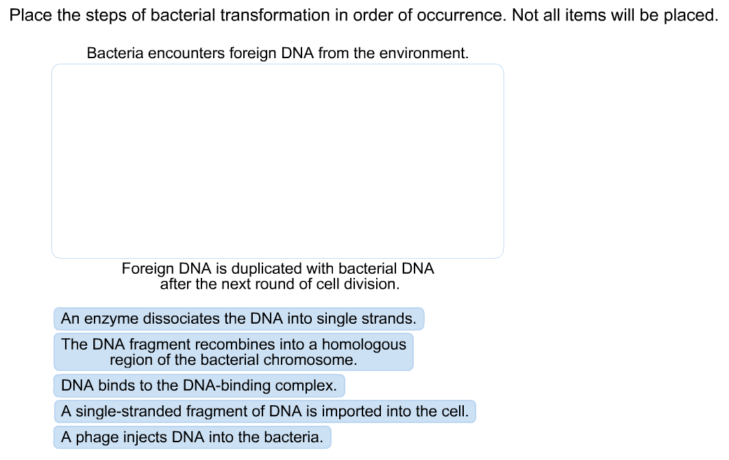 Solved Place the steps of bacterial transformation in order | Chegg.com