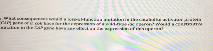 Solved What consequences would a loss-of-function mutation | Chegg.com