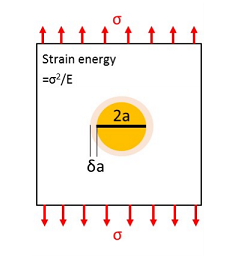 Solved From Griffith’s equation , one can derive the | Chegg.com