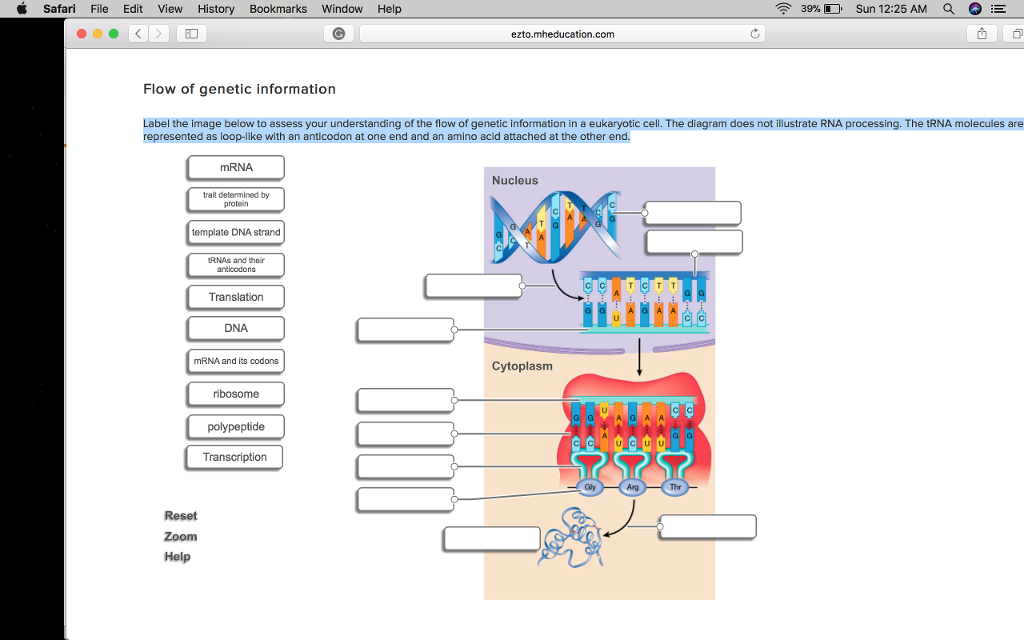 Solved: Label The Image Below To Assess Your Understanding... | Chegg.com