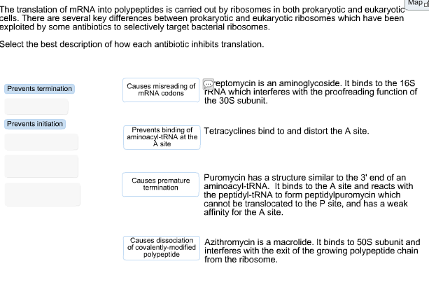 Solved The translation of mRNA into polypeptides is carried | Chegg.com