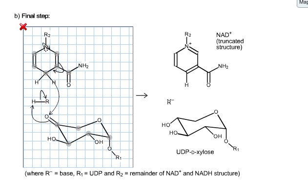 Solved Map b) Final step: NAD+ (truncated structure) NH2 H2 | Chegg.com
