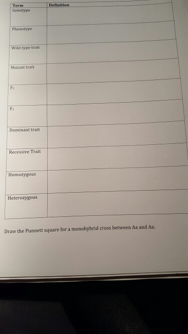 Solved Definition Term Genotype Phenotype Wild-type trait | Chegg.com