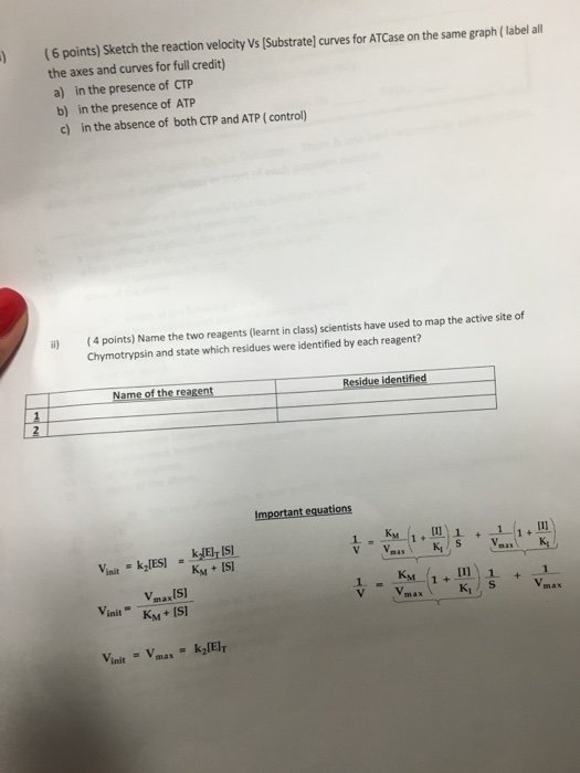 Solved Sketch the reaction velocity Vs (Substrate) curves | Chegg.com