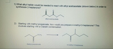 Solved synthesize halide would be needed to react wth ethyl | Chegg.com