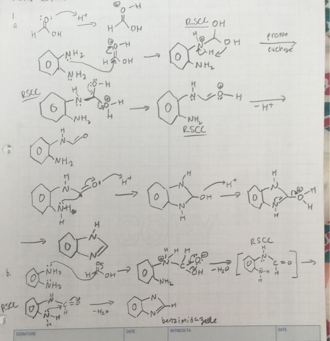 Solved 9. SYNTHESIS OF BENZIMIDAZOLE FROM 1,2-DIAMINOBENZENE | Chegg.com