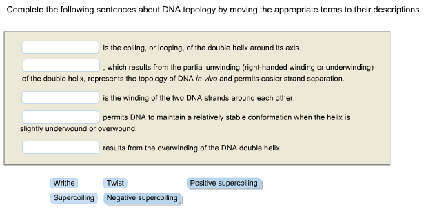 Solved Complete the following sentences about DNA topology | Chegg.com