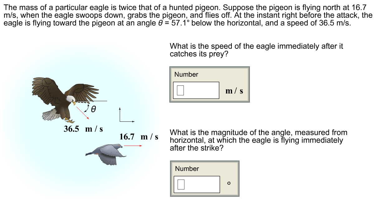 Solved The mass of a particular eagle is twice that of a | Chegg.com