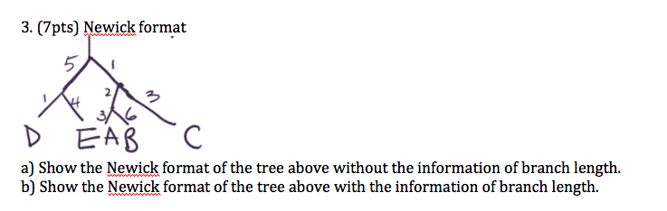 Solved Newick format a) Show the Newick format of the tree | Chegg.com