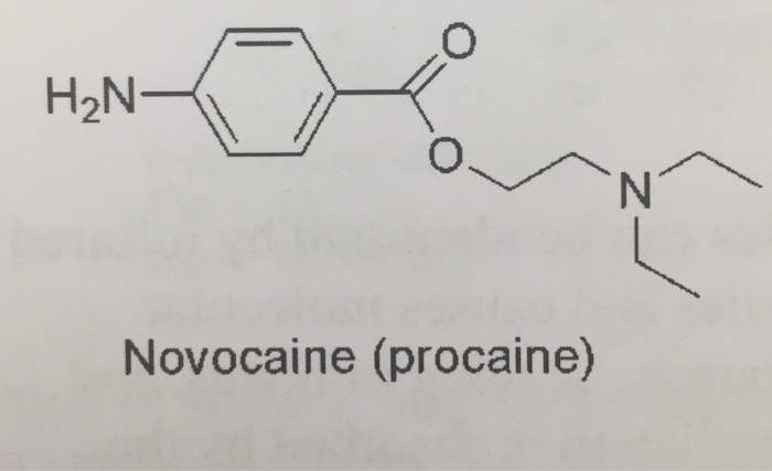 Solved I. Which of the two possible amine functional groups | Chegg.com