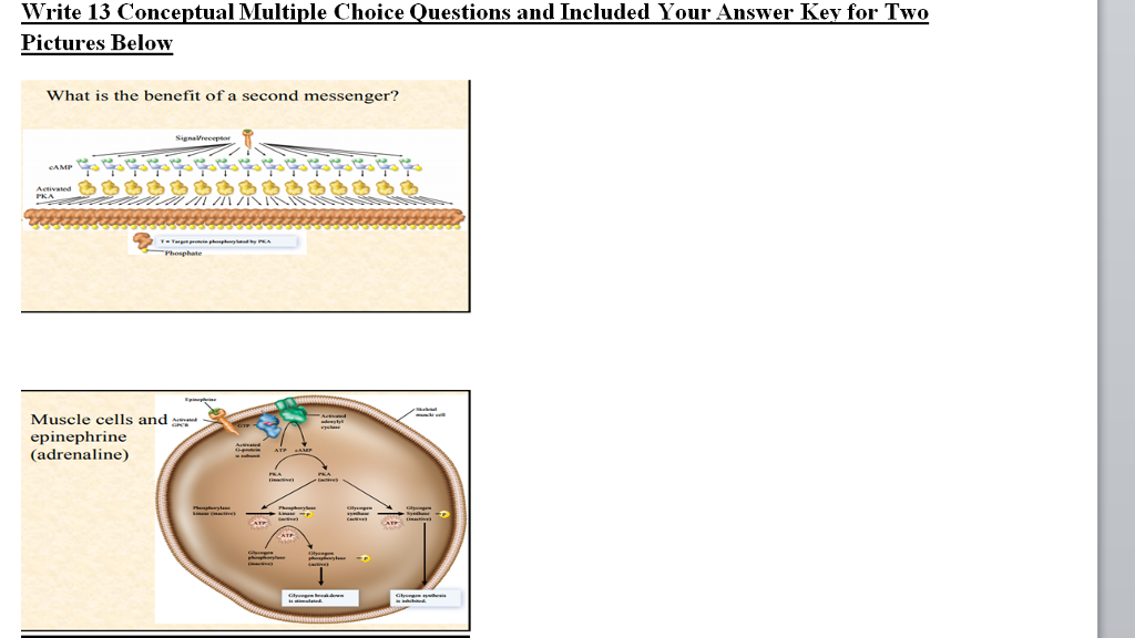 Solved Note: Write 13 Conceptual Multiple Choice Questions | Chegg.com