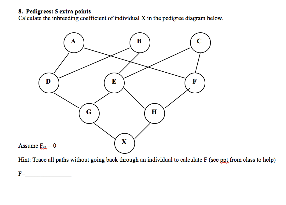 Solved 8. Pedigrees: 5 extra points Calculate the inbreeding | Chegg.com