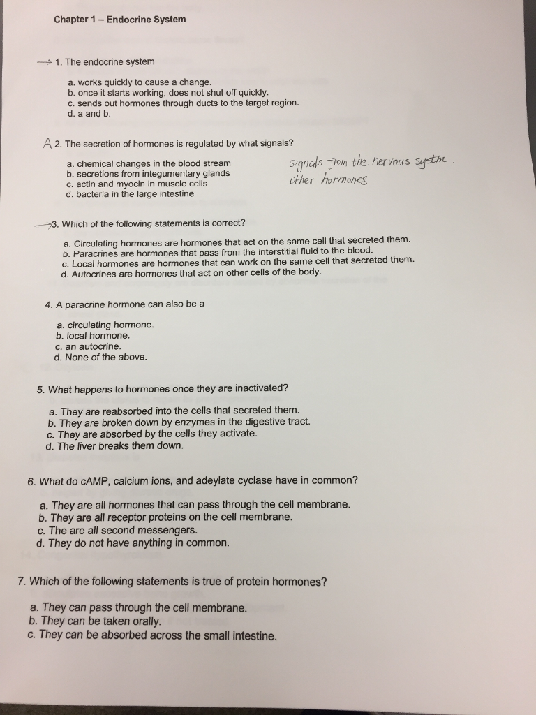 Solved The endocrine system a. works quickly to cause a | Chegg.com