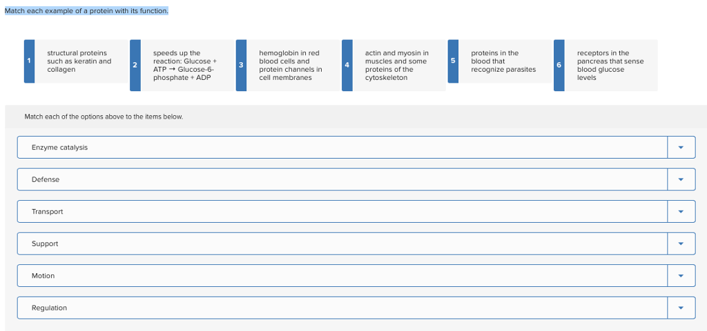 Solved Match each example of a protein with its function. | Chegg.com