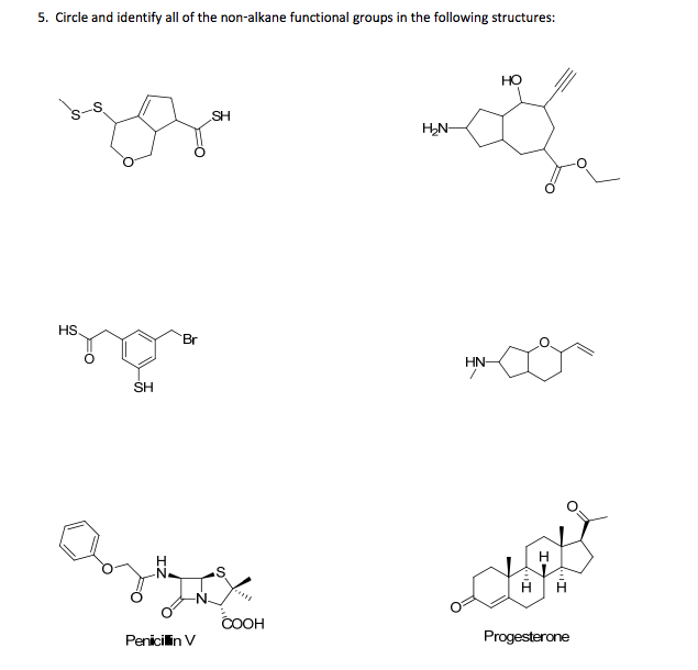 Solved Circle and identify all of the non-alkane functional | Chegg.com