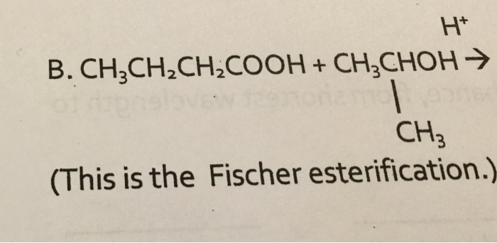 Solved (This is the Fischer esterification.) | Chegg.com