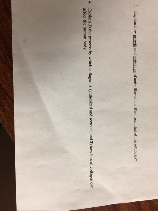 Solved Explain how growth and shrinkage of actin filaments | Chegg.com