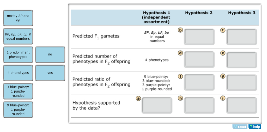 Solved In biology lab, you conduct a breeding experiment to | Chegg.com