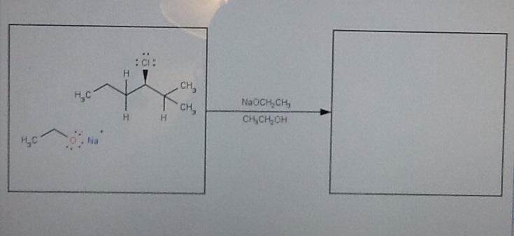 Solved Completed E2 reaction | Chegg.com