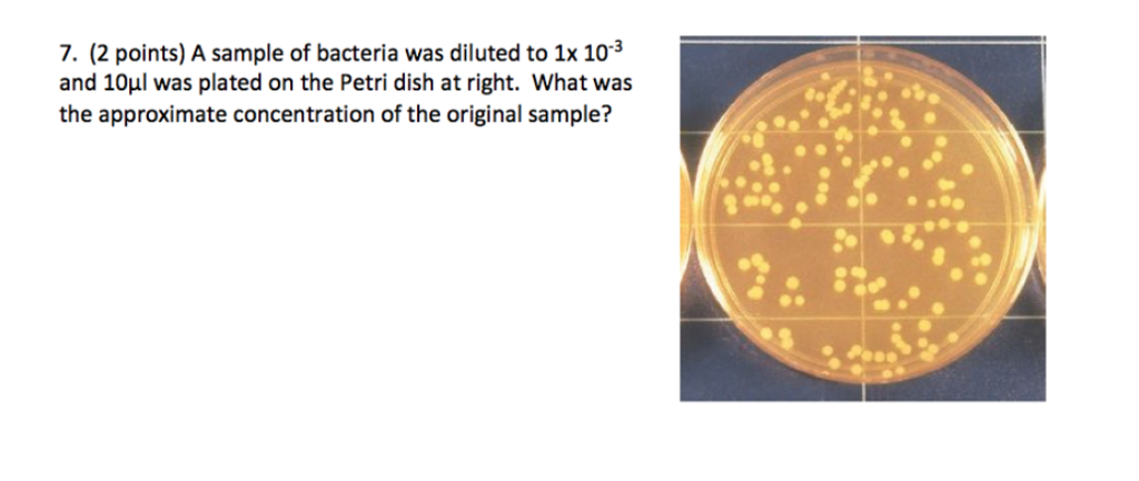 Solved 7. (2 points) A sample of bacteria was diluted to 1x | Chegg.com