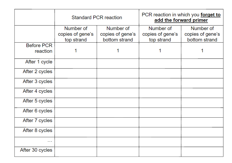 Solved 3. Compare the outcome of standard PCR reaction | Chegg.com