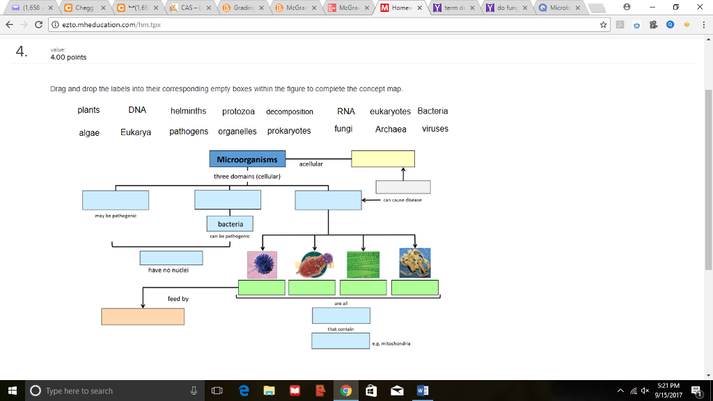 Solved: Drag And Drop The Labels Into Their Corresponding ... | Chegg.com
