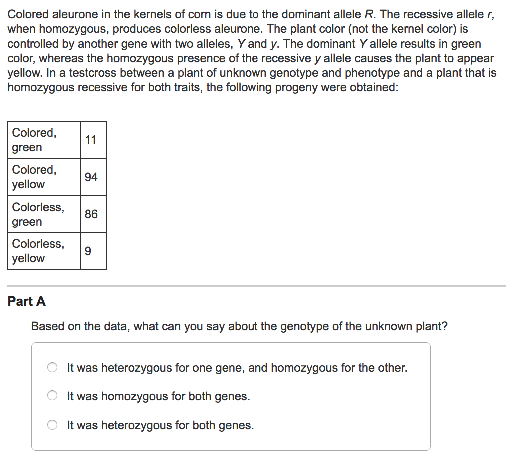 Solved Colored aleurone in the kernels of corn is due to the | Chegg.com