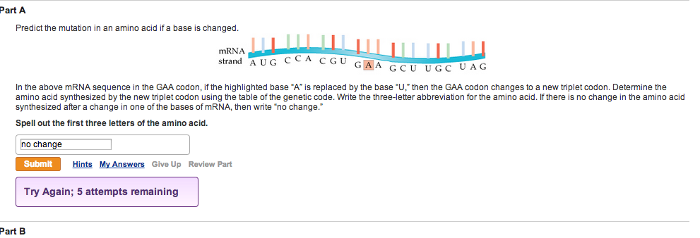 Solved Predict the mutation in an amino acid if a base is | Chegg.com