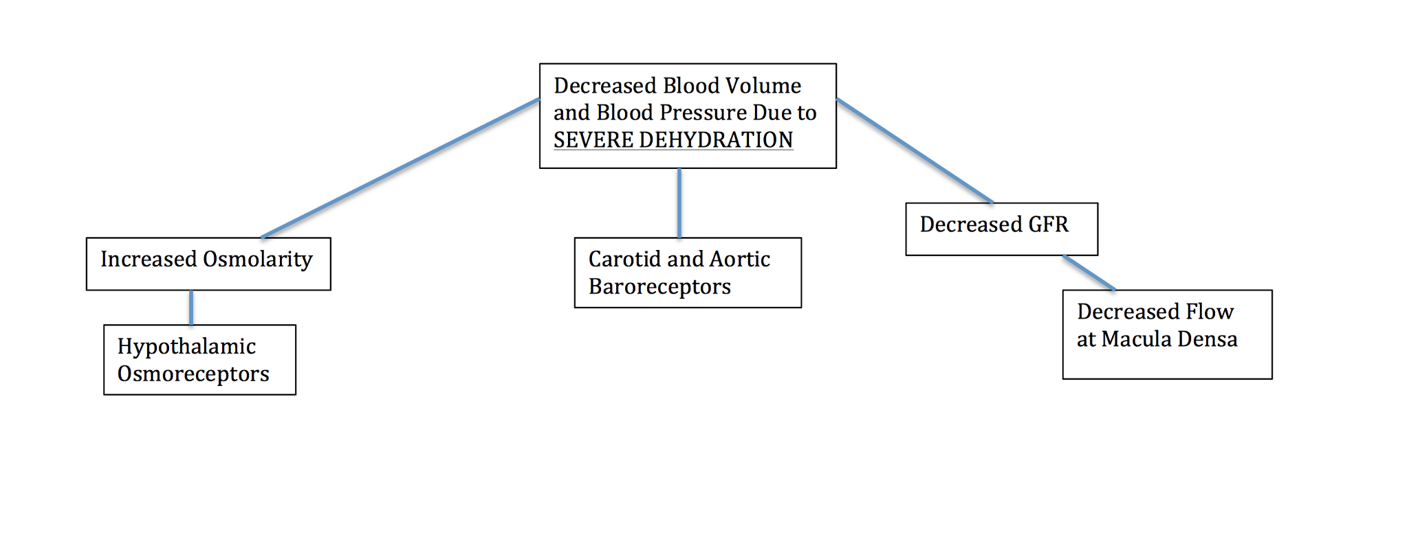 Solved Help with a flow chart regarding severe dehydration | Chegg.com