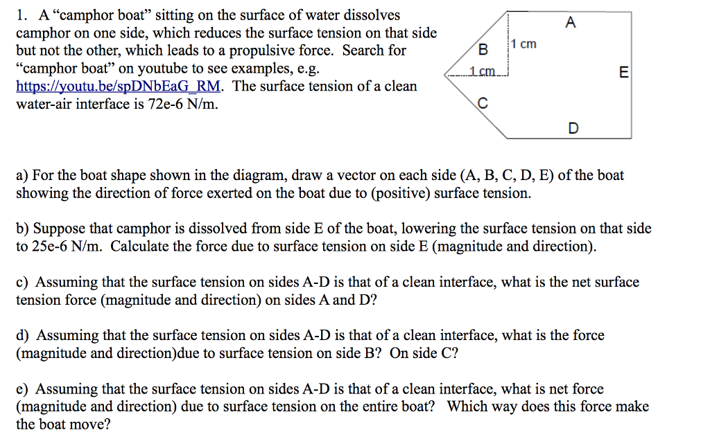 Solved A "camphor boat" sitting on the surface of water | Chegg.com