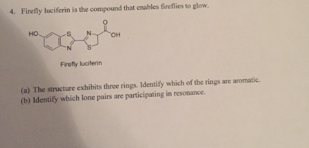 Solved Firefly luciferin is the compound that enables | Chegg.com