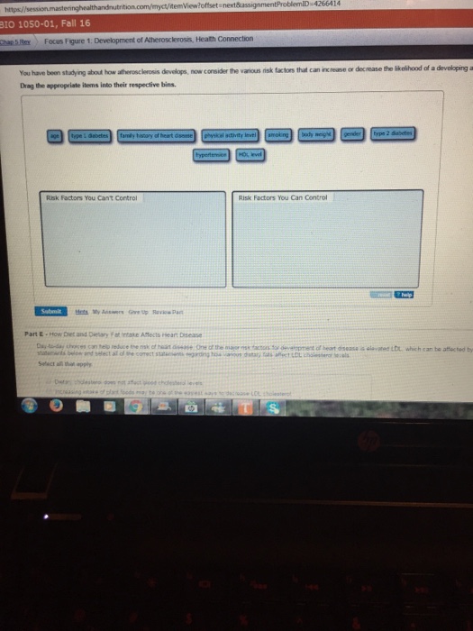 Solved You have been studying about how develops, now | Chegg.com