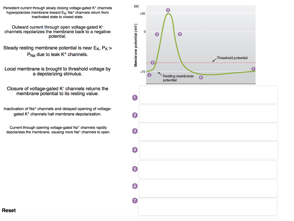 Solved Persistent current through slowly closing | Chegg.com