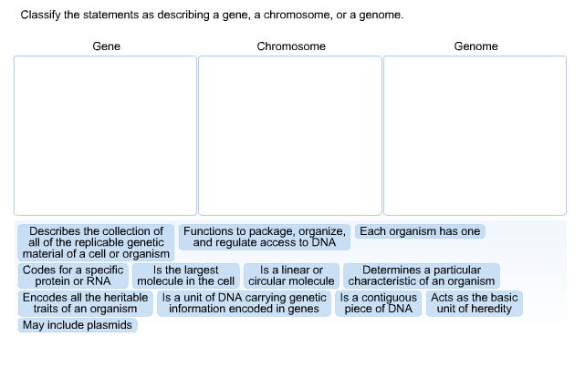 Solved: Classify The Statements As Describing A Gene, A Ch... | Chegg.com