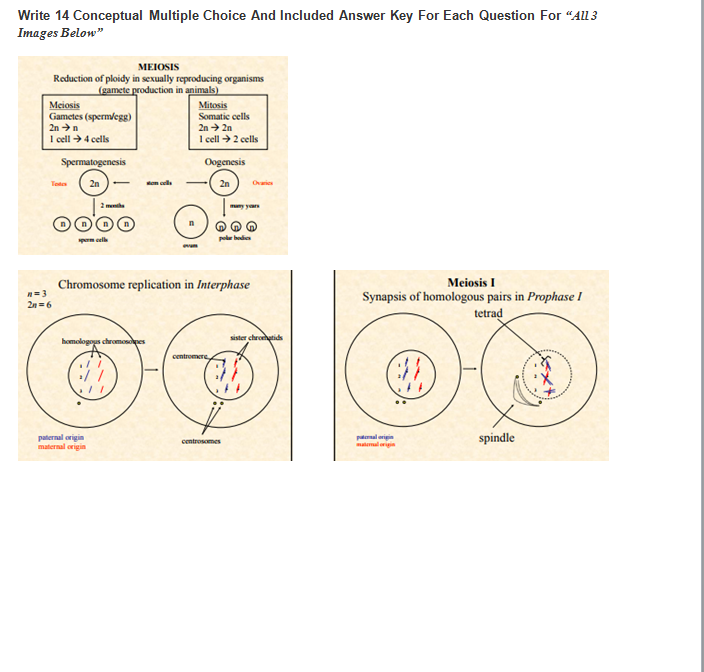 Solved Note: Write 14 Conceptual Multiple Choice And | Chegg.com
