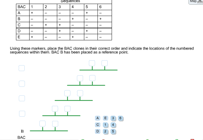 Solved Sequences Map BAC 1 8 Using these markers, place the | Chegg.com