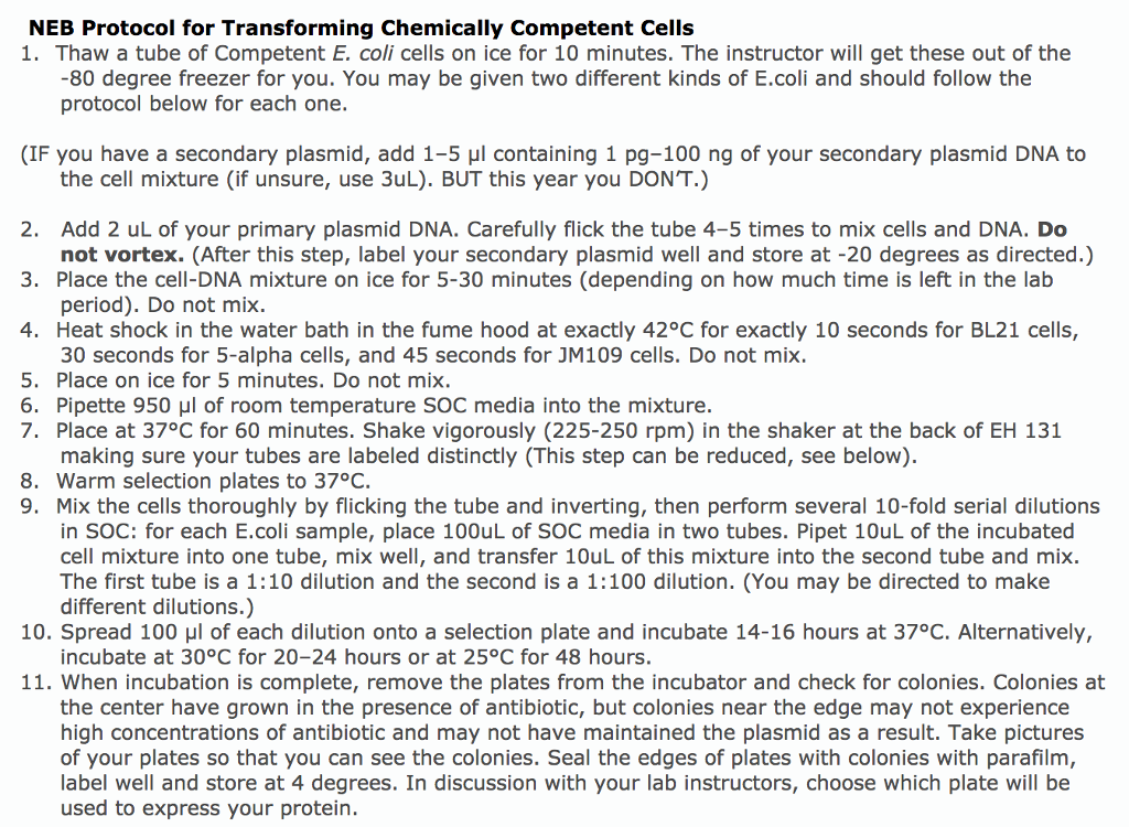 Solved calculate transformation efficiency for a plate of 80 | Chegg.com