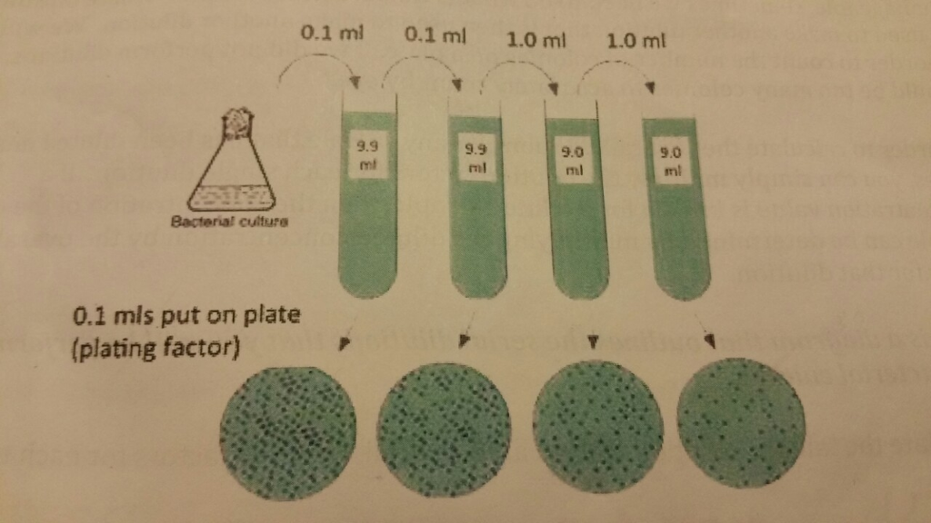 Solved Il ut dTuview from MICRB 202/203) If a solution is | Chegg.com